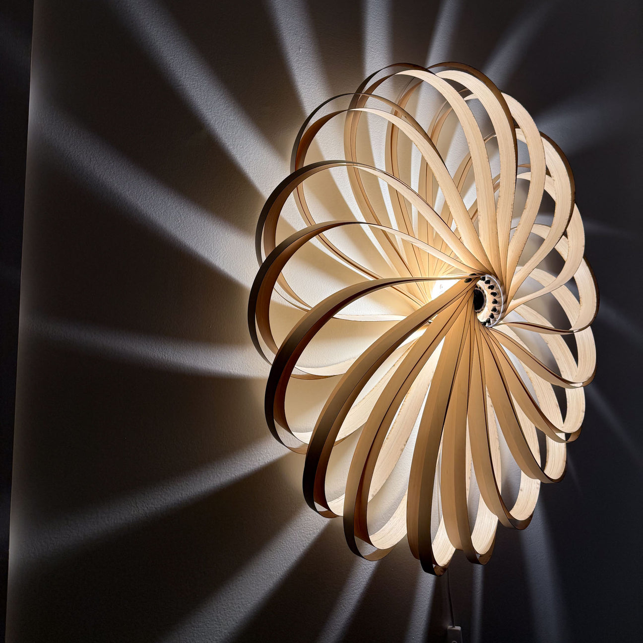 Captivating Delicate Wood Art Decor | Art by Philip Roberts